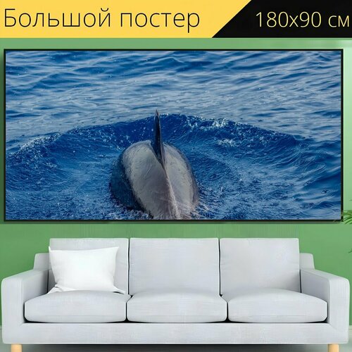 Большой постер "Дельфины, океан, млекопитающее" 180 x 90 см. для интерьера