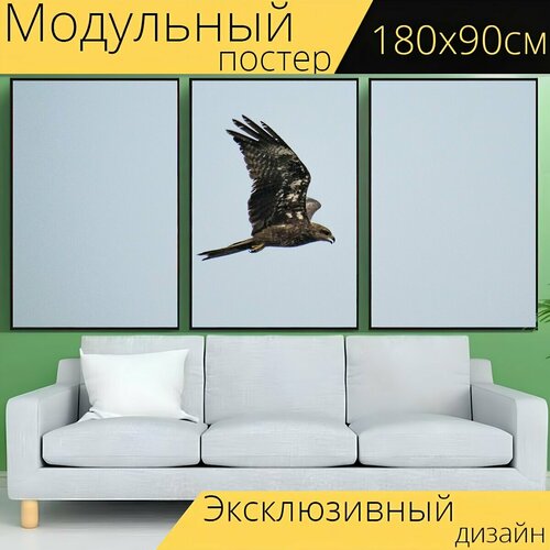 Модульный постер "Орел, птица, летающий" 180 x 90 см. для интерьера
