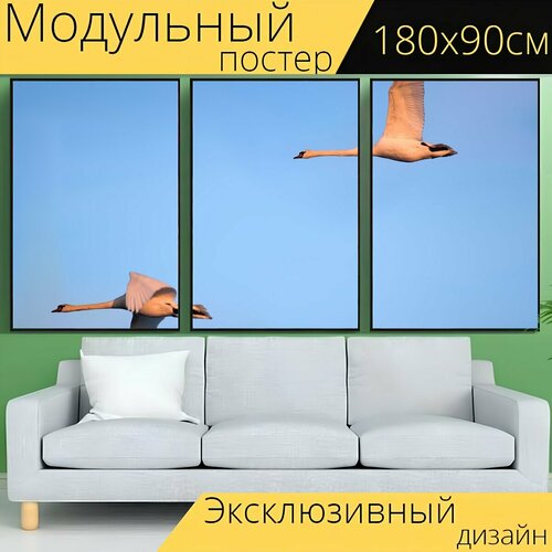 Модульный постер "Лебеди, птицы, летающий" 180 x 90 см. для интерьера