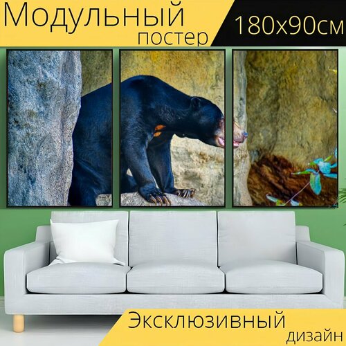 Модульный постер "Черный медведь, животное, дикий" 180 x 90 см. для интерьера