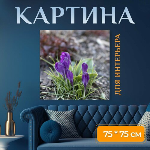 Картина на холсте "Крокус, шафран, весна" на подрамнике 75х75 см. для интерьера