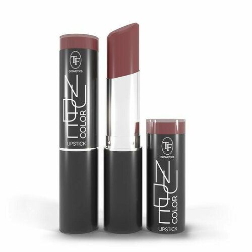 TF cosmetics Помада для губ Nude Color Lipstick, тон 510 классический нюд