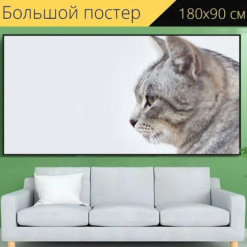 Большой постер "Кошка, лицо, профиль" 180 x 90 см. для интерьера