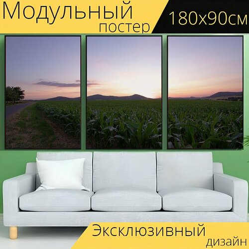 Модульный постер "Кукурузное поле, пейзаж, природа" 180 x 90 см. для интерьера