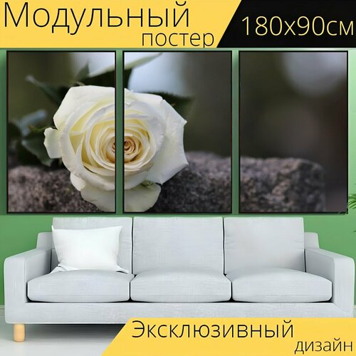 Модульный постер "Белая роза, серый мрамор, символ чистоты" 180 x 90 см. для интерьера