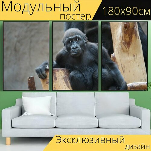 Модульный постер "Горилла, обезьяна, животное" 180 x 90 см. для интерьера