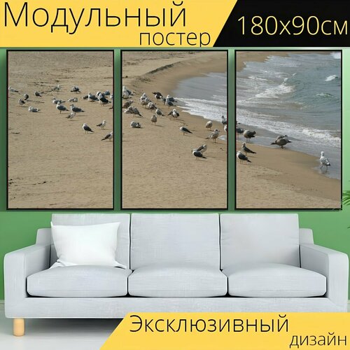 Модульный постер "Песок на пляже, увидеть, чайка" 180 x 90 см. для интерьера