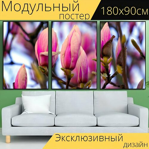 Модульный постер "Магнолия, цвести, весна" 180 x 90 см. для интерьера