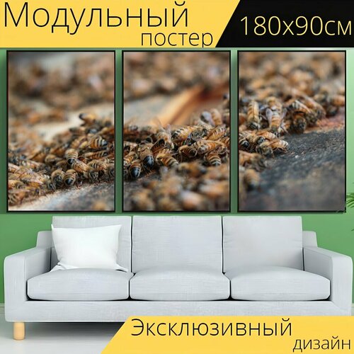 Модульный постер "Пчелы, улей, медовый" 180 x 90 см. для интерьера