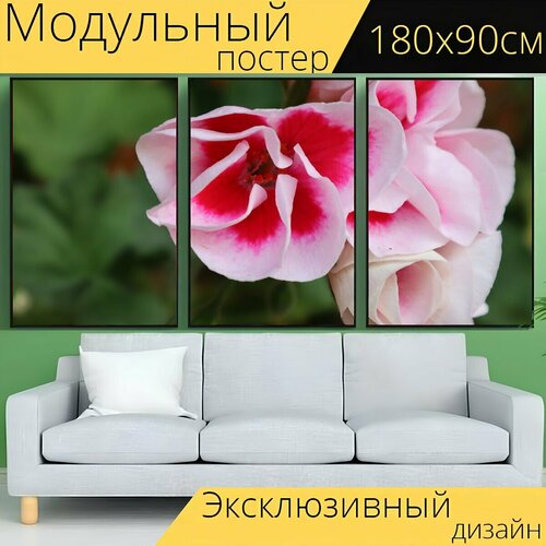 Модульный постер "Цветок, розовый, завод" 180 x 90 см. для интерьера