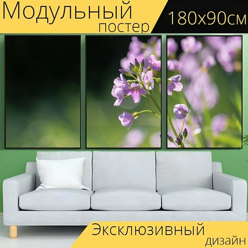 Модульный постер "Цветы, бутоны, вересковая орхидея" 180 x 90 см. для интерьера