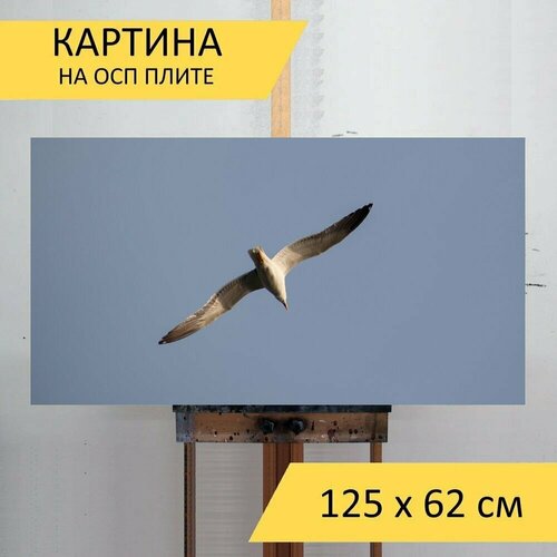 Картина на ОСП 125х62 см. "Чайка в полете, чайка, крачка" горизонтальная, для интерьера, с креплениями