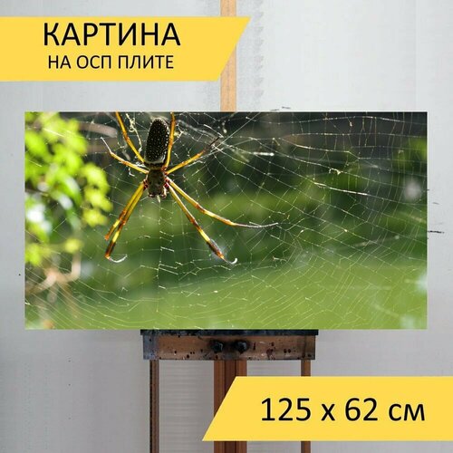 Картина на ОСП 125х62 см. "Паутины, ядовитый, паукообразный" горизонтальная, для интерьера, с креплениями