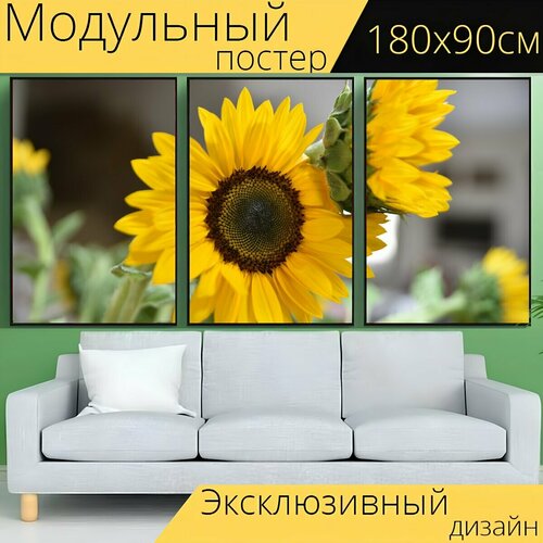 Модульный постер "Солнце, подсолнечник, цветок" 180 x 90 см. для интерьера