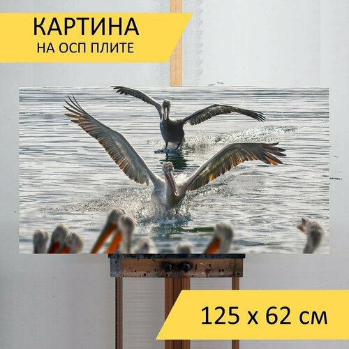Картина на ОСП 125х62 см. "Пеликаны, птицы, полеты" горизонтальная, для интерьера, с креплениями