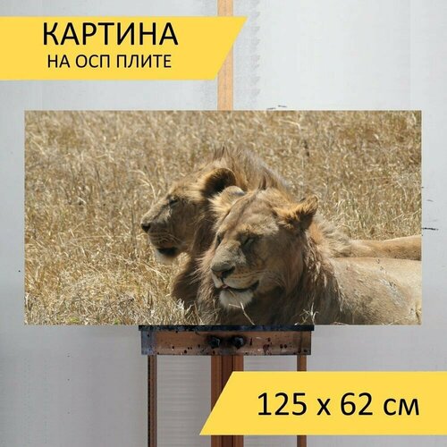 Картина на ОСП 125х62 см. "Леон, львы, животные" горизонтальная, для интерьера, с креплениями