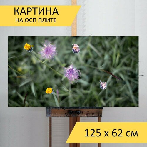 Картина на ОСП 125х62 см. "Цветы, природа, флора" горизонтальная, для интерьера, с креплениями