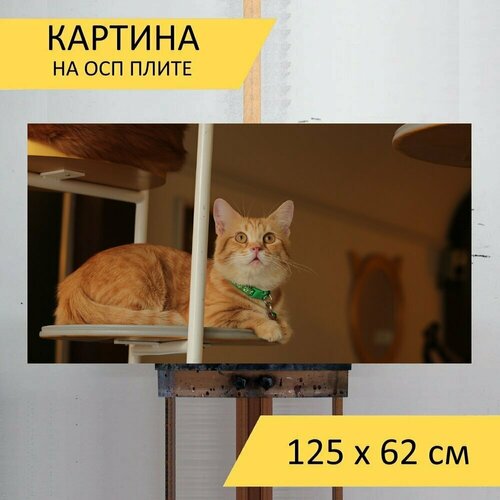 Картина на ОСП 125х62 см. "Кошка, полосатый, домашний питомец" горизонтальная, для интерьера, с креплениями
