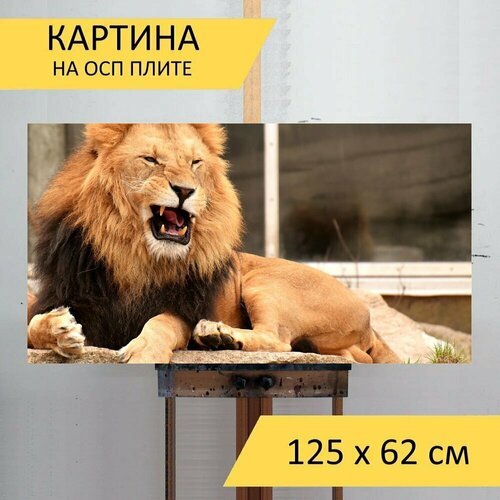Картина на ОСП 125х62 см. "Лев, хищник, опасный" горизонтальная, для интерьера, с креплениями