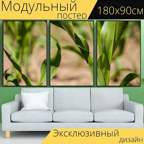 Модульный постер "Природа, кукуруза, завод" 180 x 90 см. для интерьера