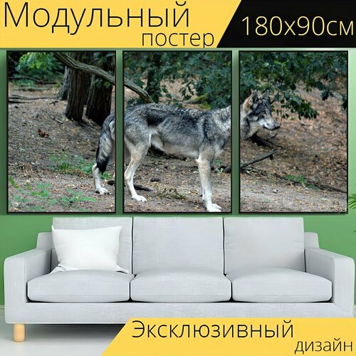 Модульный постер "Волк, закрывать, природа" 180 x 90 см. для интерьера