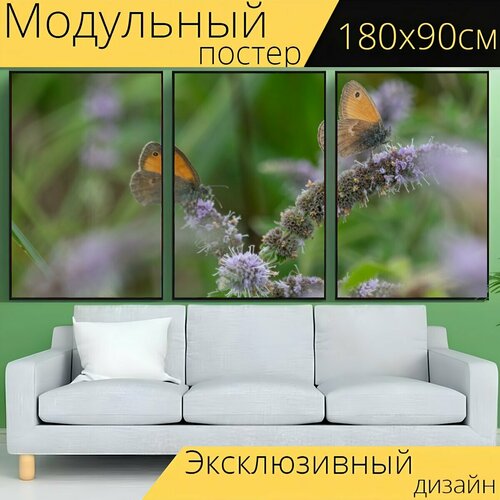 Модульный постер "Бабочки, цветы, опылять" 180 x 90 см. для интерьера
