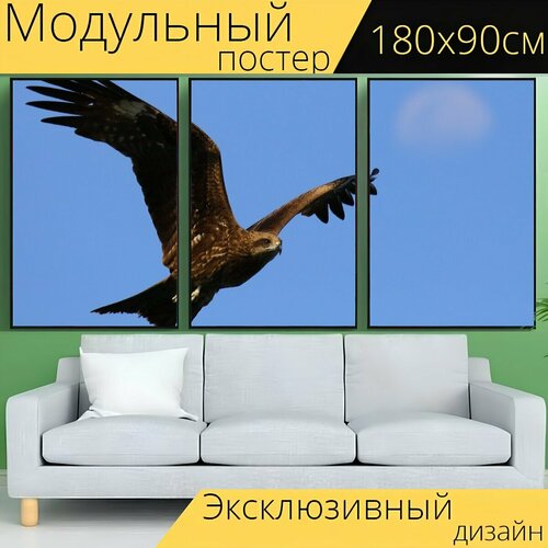 Модульный постер "Птицы, море, орел" 180 x 90 см. для интерьера