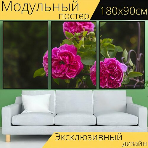 Модульный постер "Корзина с розами, розы, роза" 180 x 90 см. для интерьера
