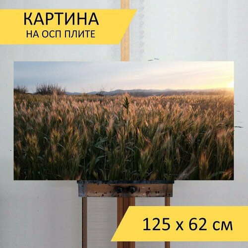 Картина на ОСП 125х62 см. "Пшеница, поле, ячмень" горизонтальная, для интерьера, с креплениями