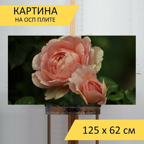 Картина на ОСП 125х62 см. "Роза, цветы, розовый" горизонтальная, для интерьера, с креплениями
