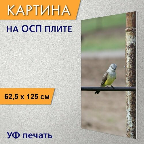 Вертикальная картина на ОСП "Птица, природа, дикая природа" 62x125 см. для интерьериа