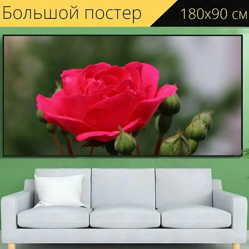 Большой постер "Роза, завод, цветок" 180 x 90 см. для интерьера