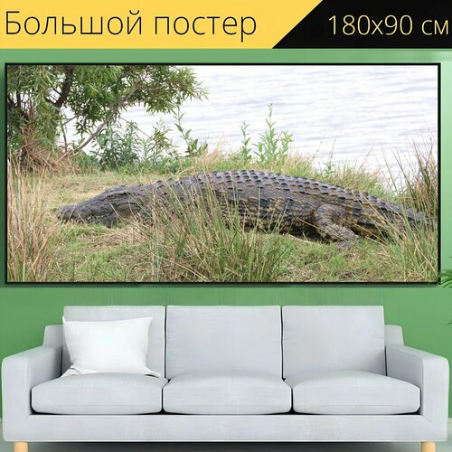 Большой постер "Крокодил, нильский крокодил, рептилия" 180 x 90 см. для интерьера