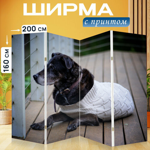 Ширма перегородка с принтом "Собака, верный, животное" на холсте - 200x160 см. для зонирования, раскладная