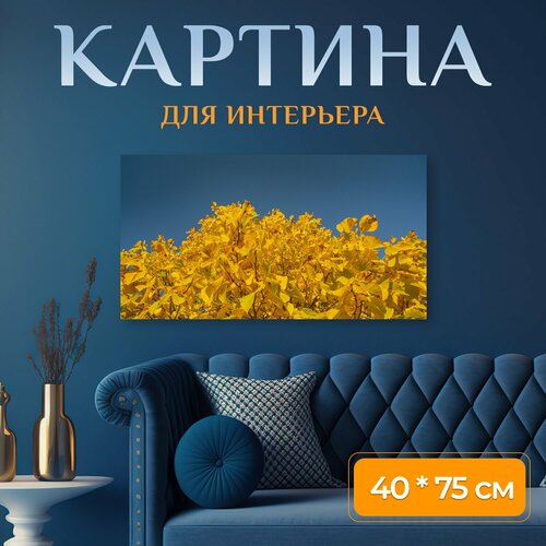 Картина на холсте "Дерево, желтый, падение" на подрамнике 75х40 см. для интерьера