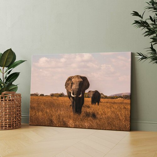 Картина на холсте (Африканский слон на саванне ЮАР) 30x40 см. Интерьерная, на стену.
