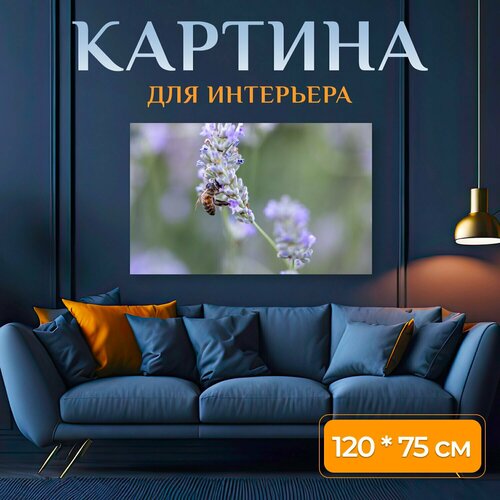 Картина на холсте "Пчела, лаванда, савойя" на подрамнике 120х75 см. для интерьера