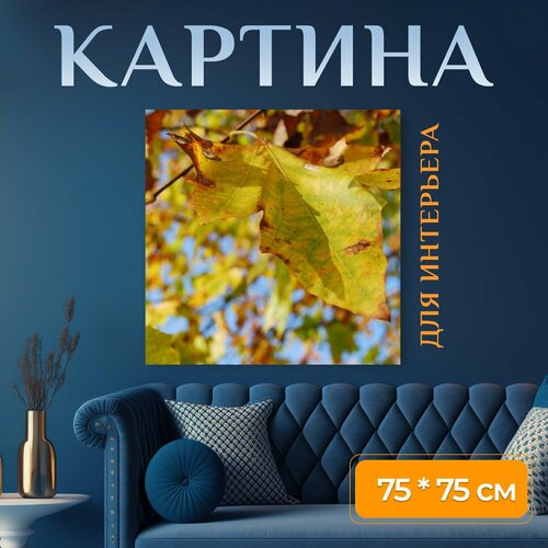 Картина на холсте "Листья, осень, желтый" на подрамнике 75х75 см. для интерьера