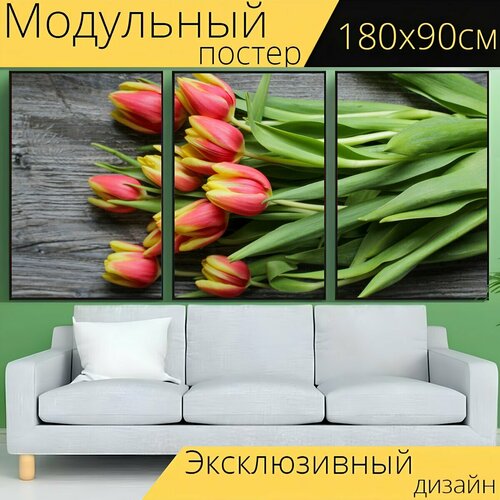 Модульный постер "Тюльпаны, цветы, связка" 180 x 90 см. для интерьера