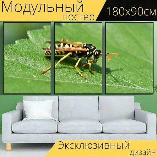 Модульный постер "Оса, насекомое, ужалить" 180 x 90 см. для интерьера