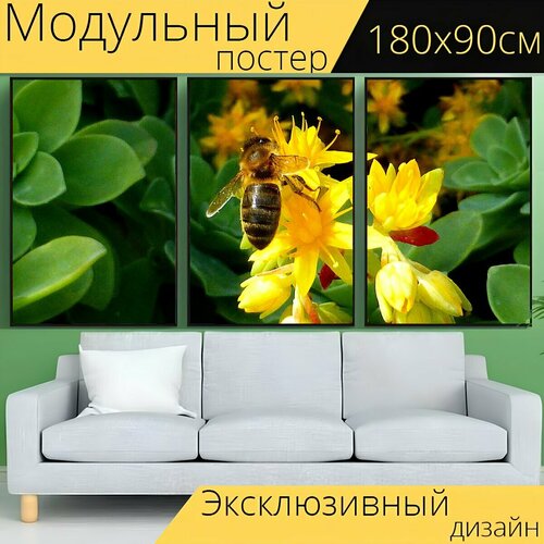 Модульный постер "Насекомое, пчела, мед" 180 x 90 см. для интерьера