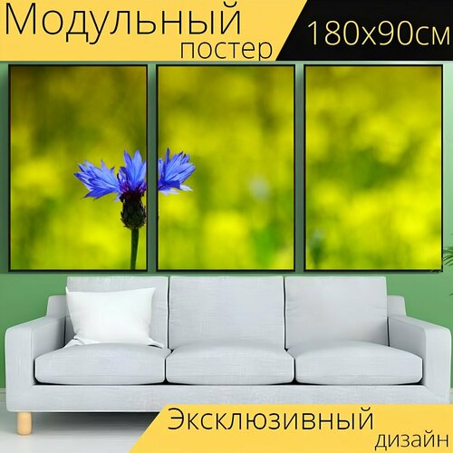Модульный постер "Василек, синий, желтый" 180 x 90 см. для интерьера