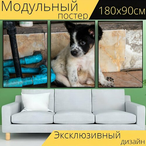 Модульный постер "Собака, щенок, дорога" 180 x 90 см. для интерьера