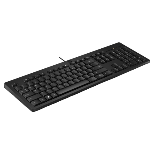 Клавиатура Keyboard HP 125 Wired (black) (266C9AA#ACB)