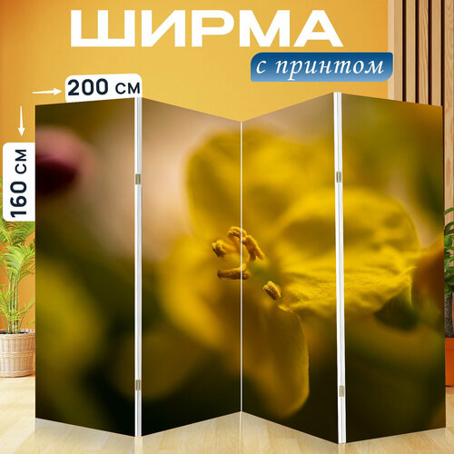 Ширма перегородка с принтом "Цветок, палки, макрос" на холсте - 200x160 см. для зонирования, раскладная