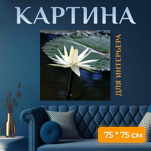 Картина на холсте "Водяная лилия, цветы, белый" на подрамнике 75х75 см. для интерьера
