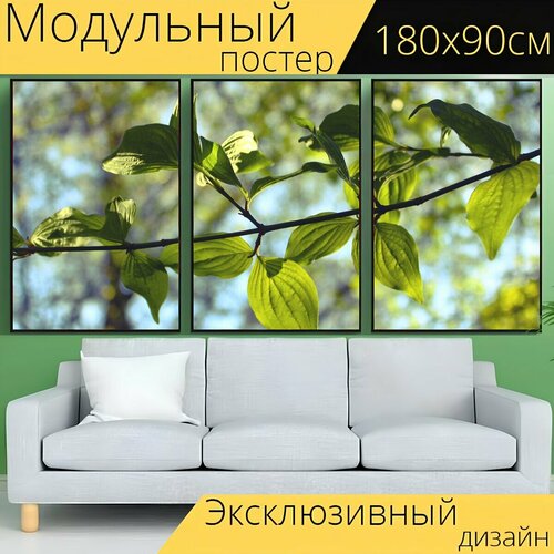 Модульный постер "Листья, листва, природа" 180 x 90 см. для интерьера
