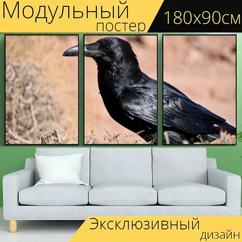 Модульный постер "Птица, чернить, черный дрозд" 180 x 90 см. для интерьера