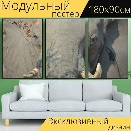 Модульный постер "Слон, африка, дикая природа" 180 x 90 см. для интерьера