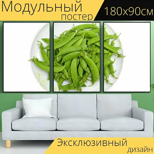 Модульный постер "Еда, зеленый овощ, овощ" 180 x 90 см. для интерьера